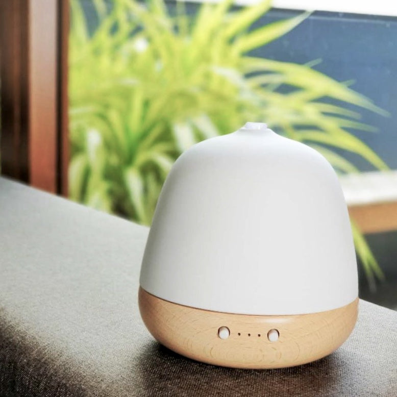 image1_1200x1200.jpeg?v=1545615033